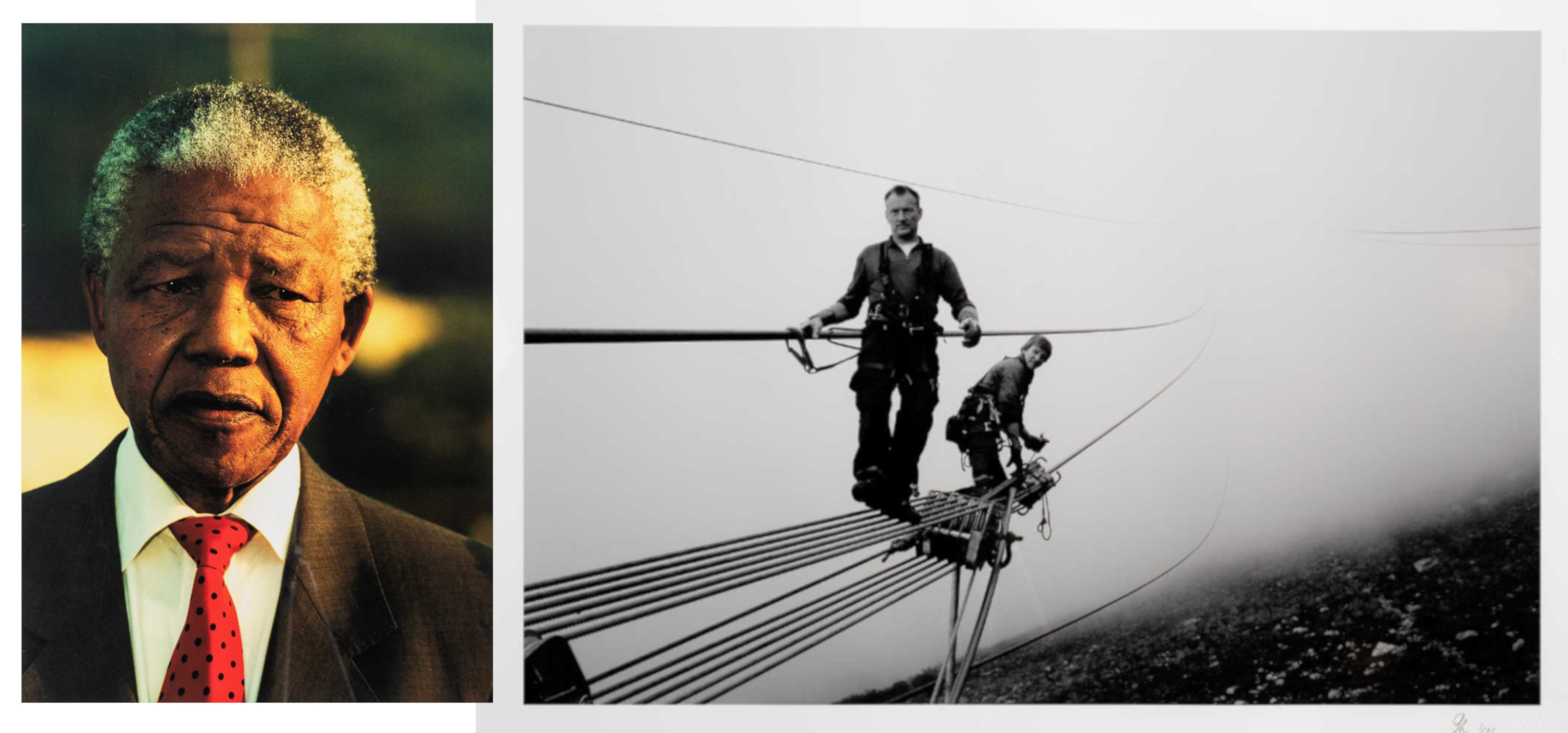 Timed Online Auction Focus | Photography