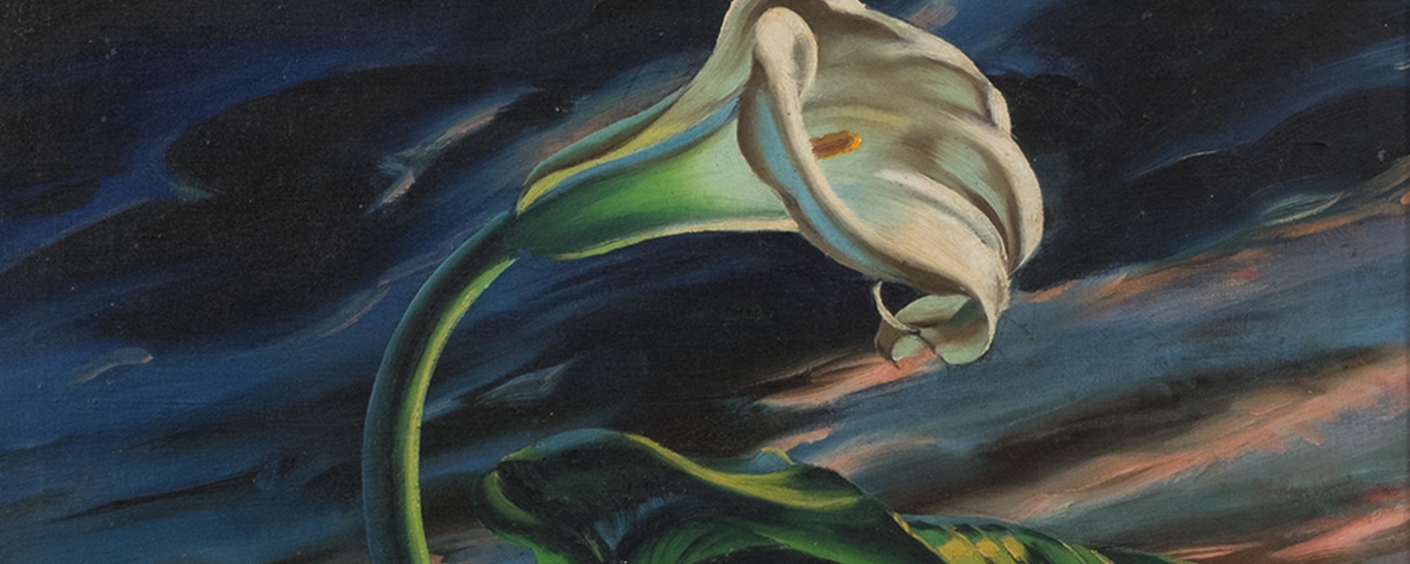 TAKING FLIGHT: Selected Works from the Phoenix Collection