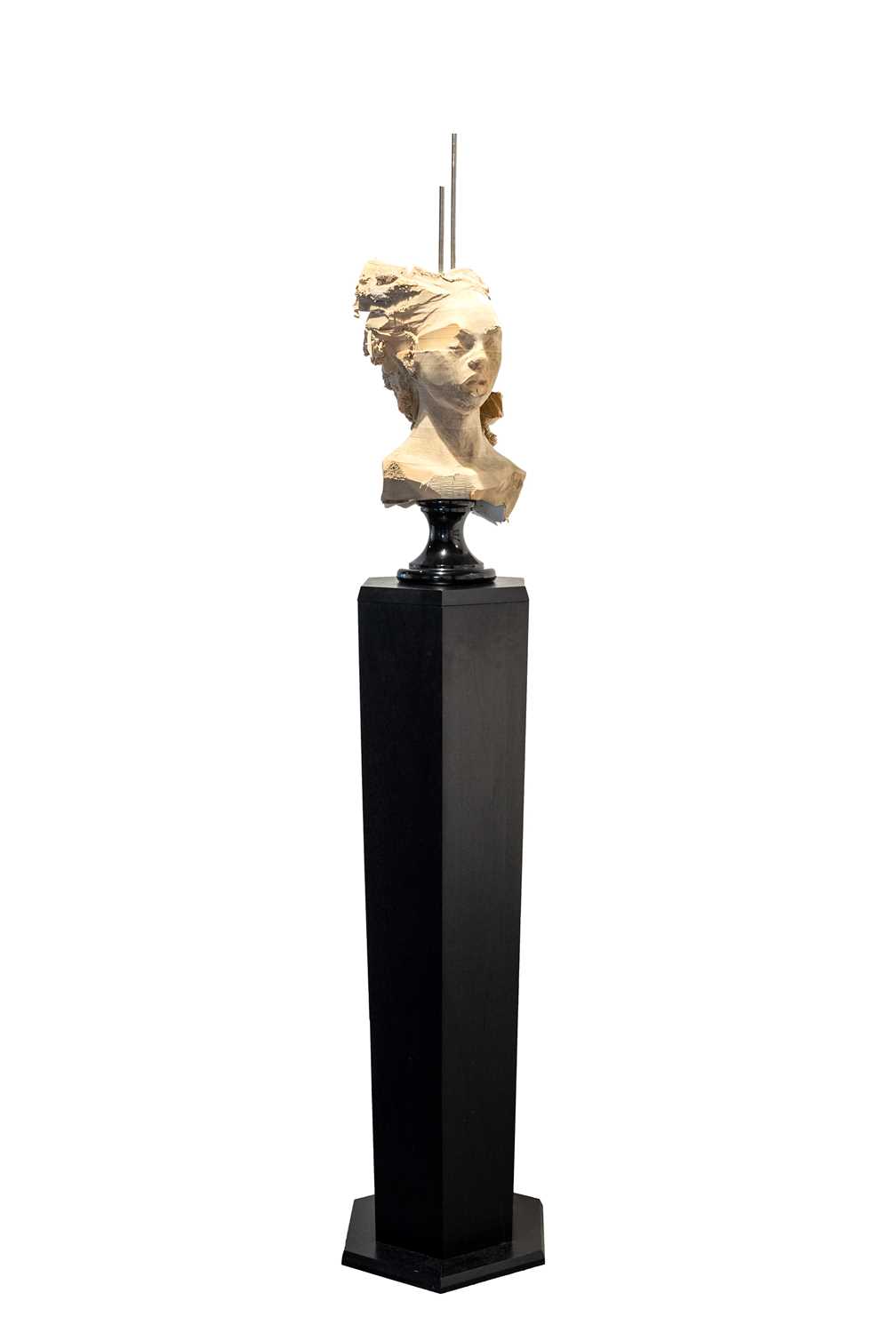 Lot 22 - Wim Botha (South Africa 1974-)