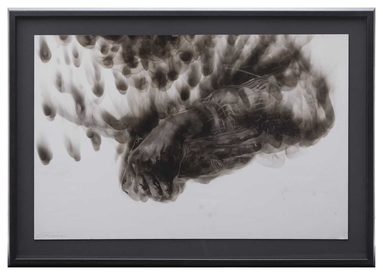 Lot 178 - Diane Victor (South Africa 1964-)