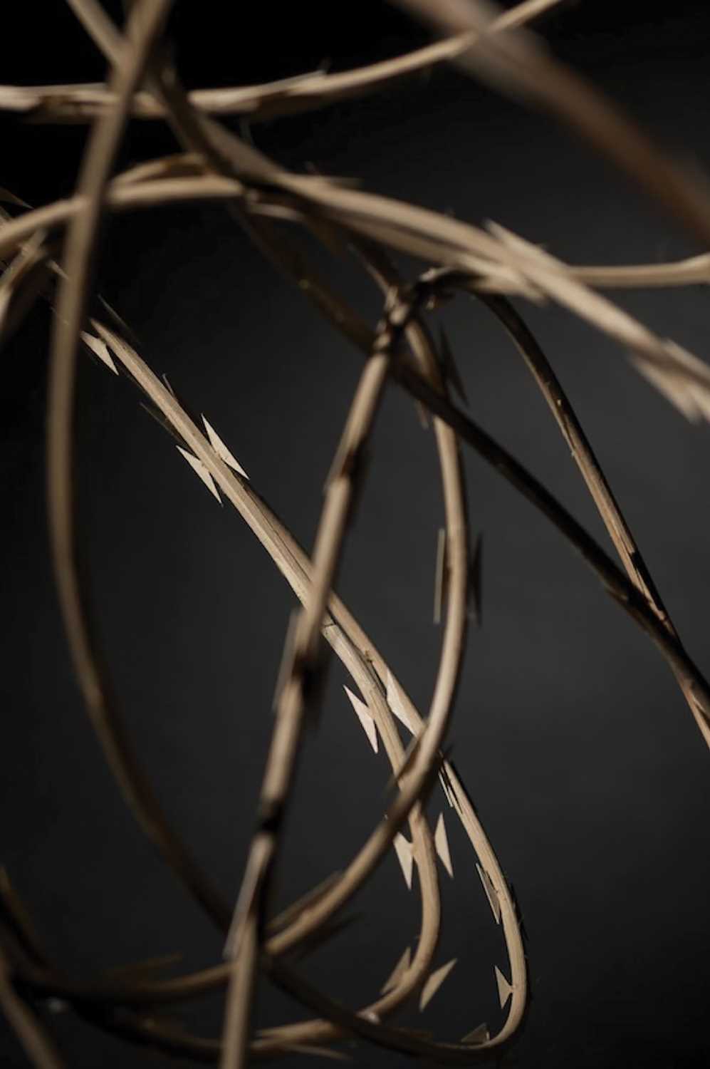 Lot 91 - Rowan Smith (South Africa 1983-)