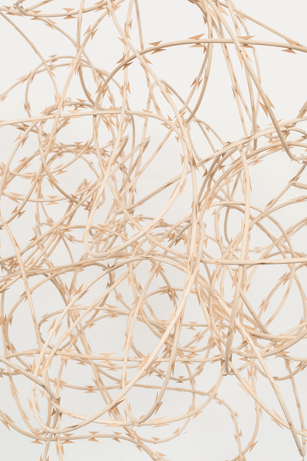 Lot 91 - Rowan Smith (South Africa 1983-)